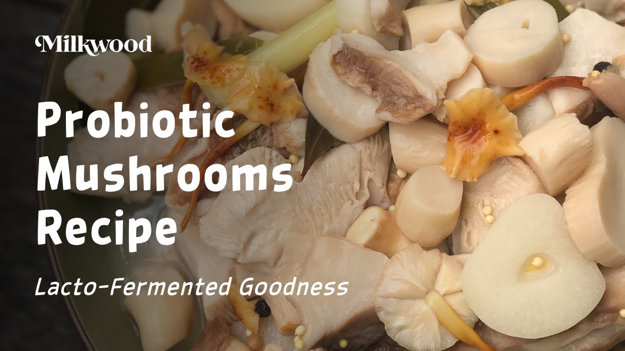 Mushroom Fermentation - How to Ferment Mushrooms? - Mushroom Hunter Hub